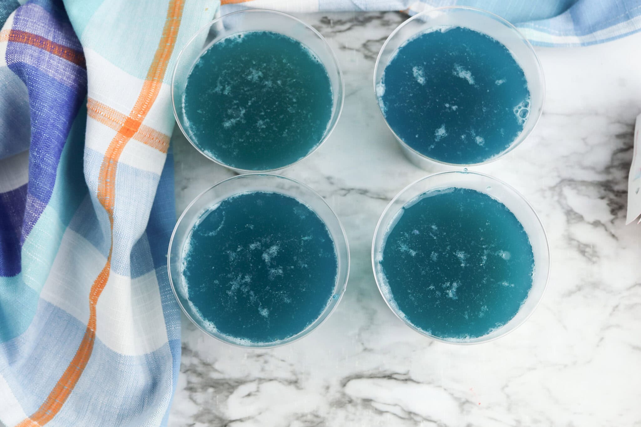 Fish Bowl Jello Cups - Bite-Sized Bash