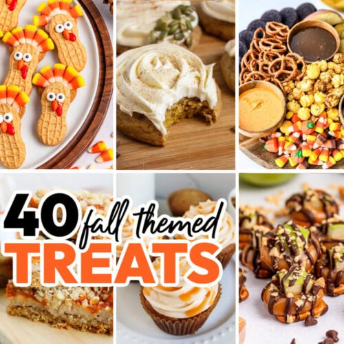 40+ Fantastic Fall Treats and Desserts - Bite-Sized Bash