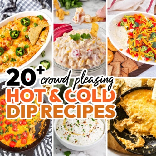 40+ Best Cold Dips for a Party - Bite-Sized Bash