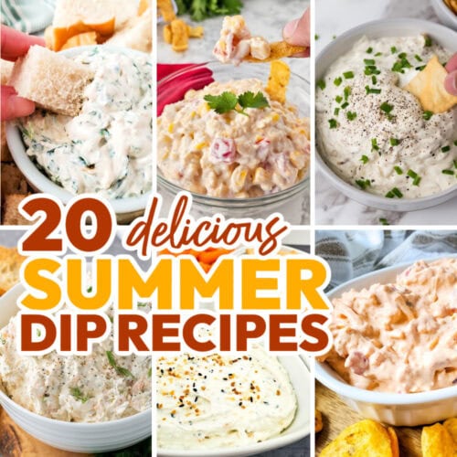 20 Summer Dip Recipes for Easy Appetizers and Snacks to Serve! - Bite ...