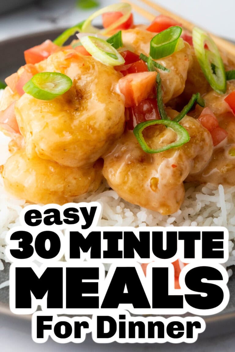 10+ Easy 30 Minute Meals for Dinner - Bite-Sized Bash