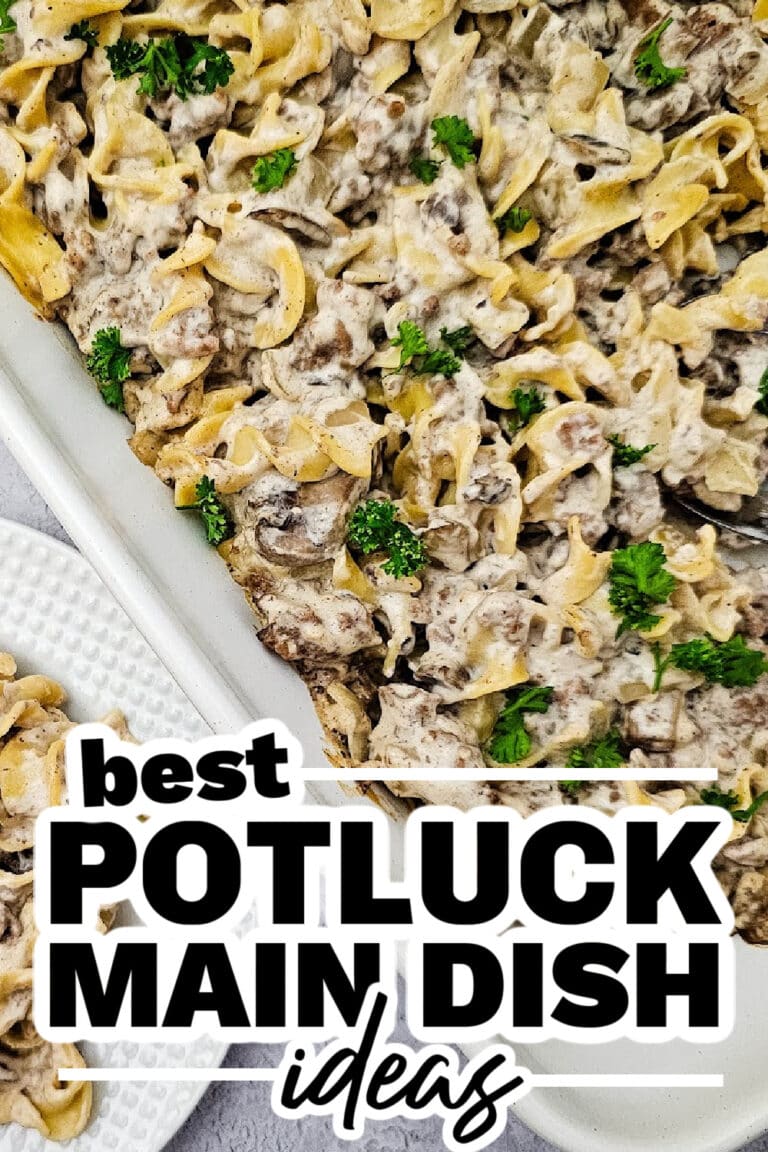 30+ Best Potluck Main Dish Ideas - Bite-Sized Bash
